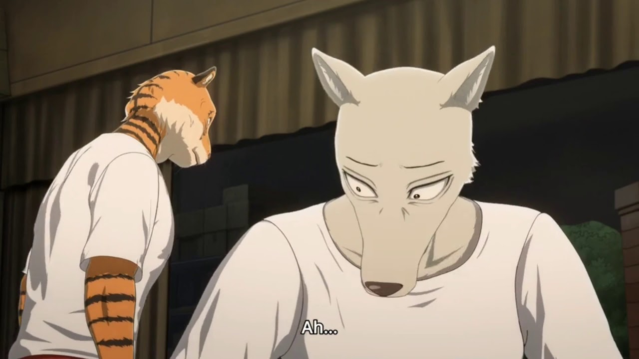 Beastars Season 3: Final Season! Plot, Preview & Release Date
