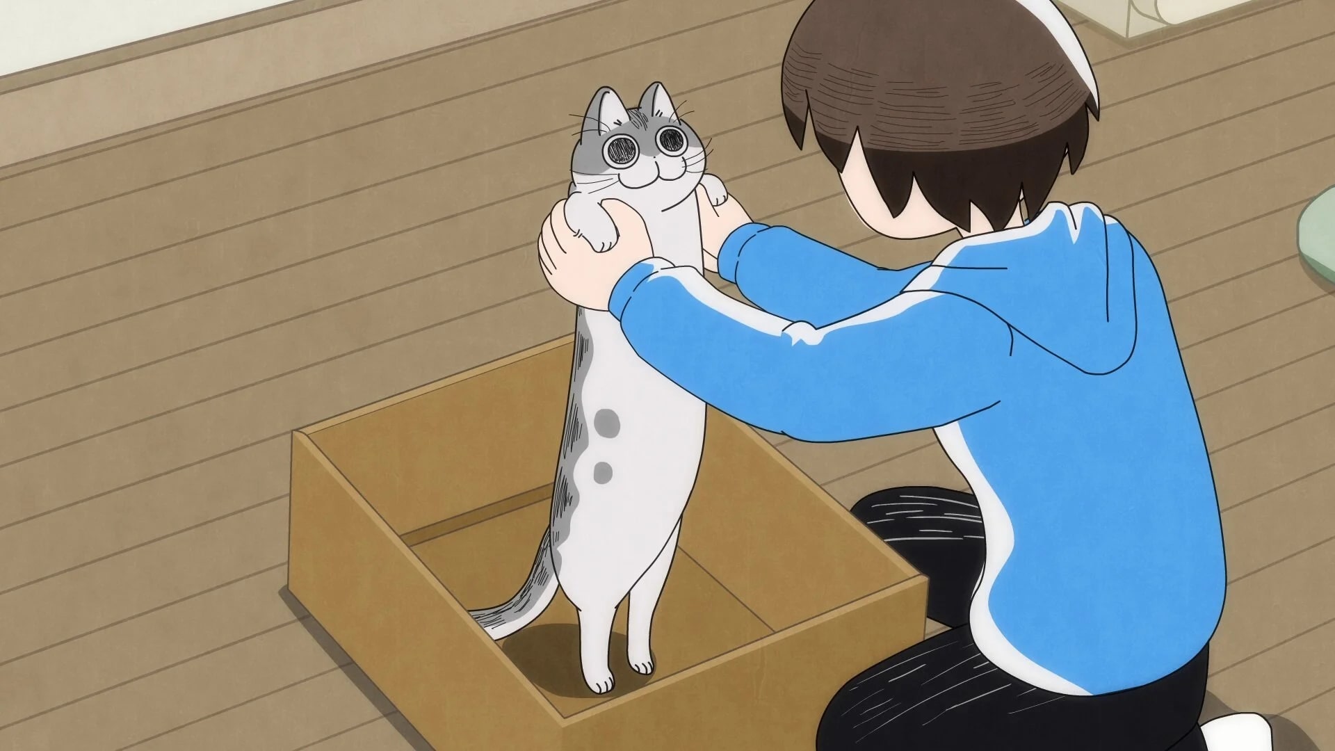 Nights With The Cat Season 2: Finally Announced! Release Date & Plot