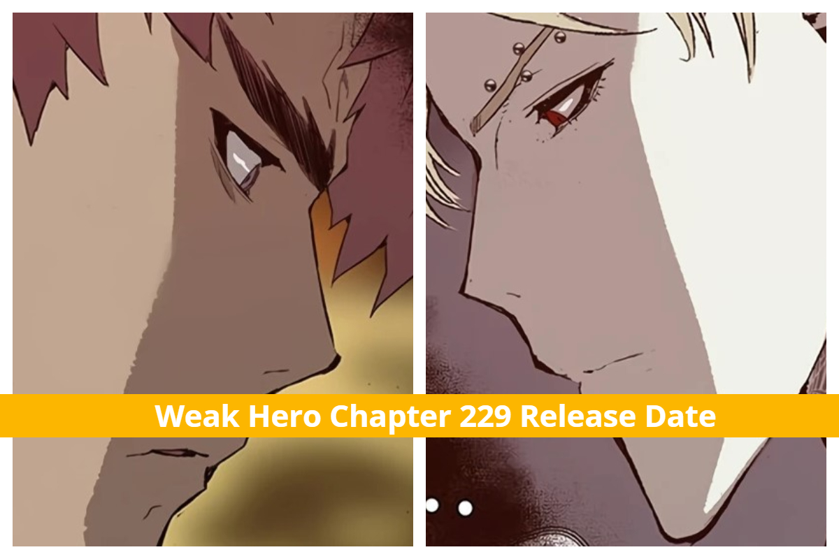 Weak Hero Chapter 229: Ultimate Battle! Release Date & Plot
